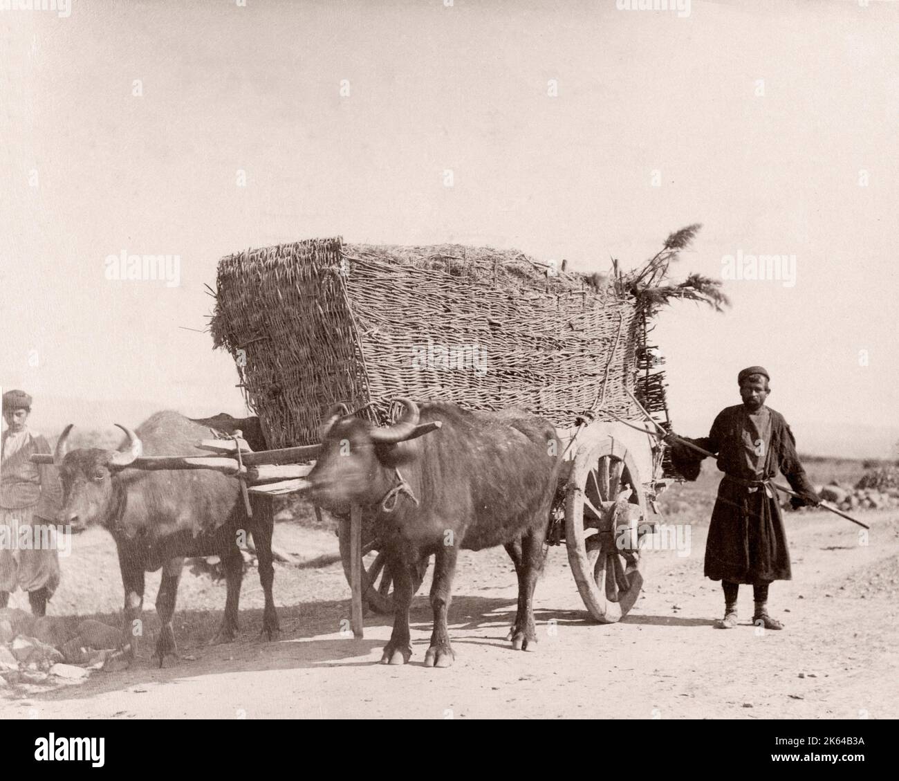 Ox cart vintage hi-res stock photography and images - Alamy