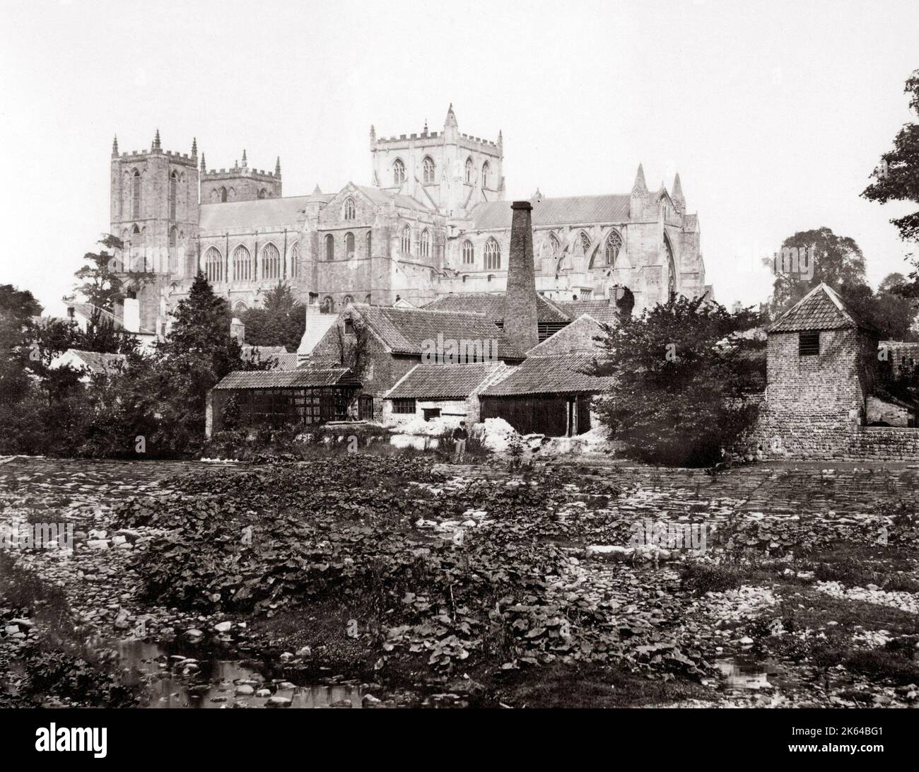 Historic ripon cathedral hi-res stock photography and images - Alamy