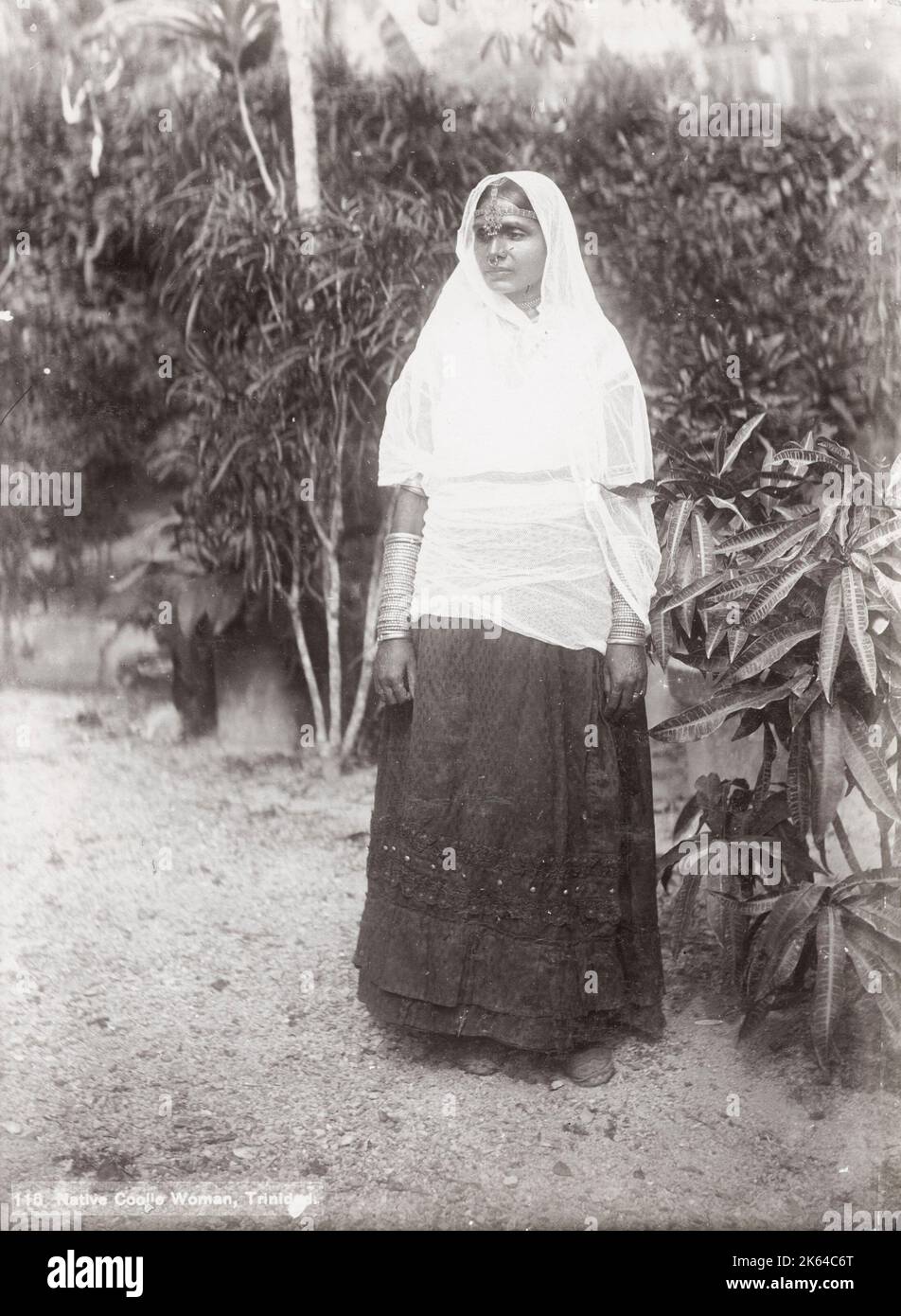 Late 19th century photograph - Indian rural worker, Trinidad, West ...