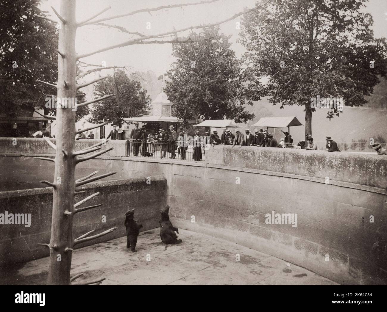 Late 19th century photograph - Bear Pit, Bern, Switzerland Stock Photo ...