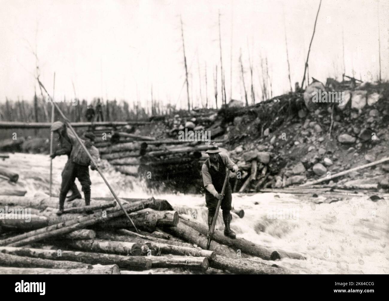 Early 20th century vintage press photograph - logging in Canada, men ...