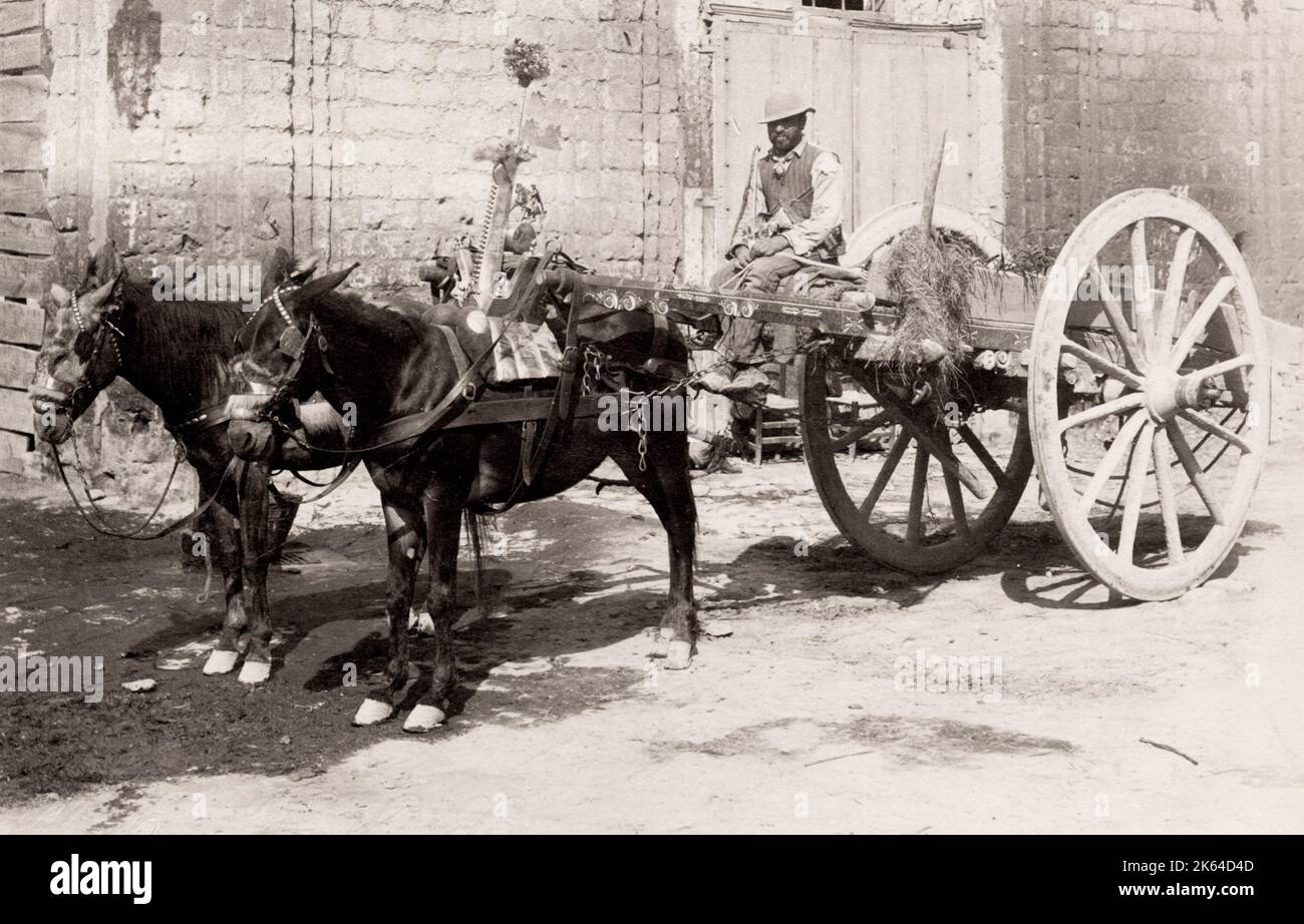 Vintage 19th century photograph: farmers cart being pulled by a pair of ...
