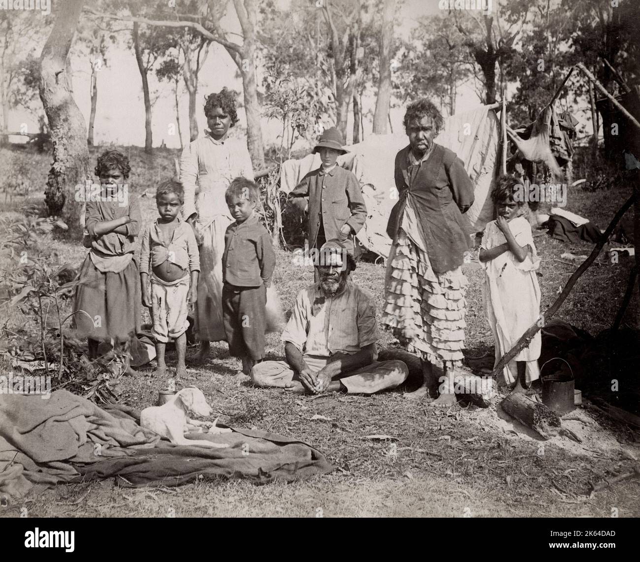 Vintage 19th century photograph: Aboriginal family group, Queensland ...
