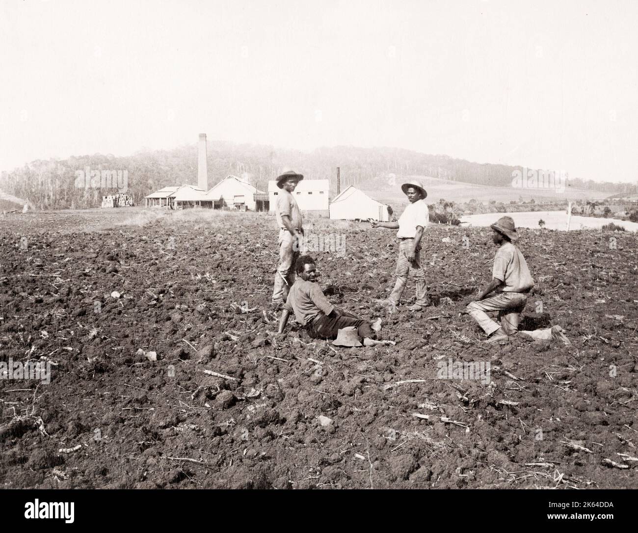 Australia workers hi-res stock photography and images - Alamy