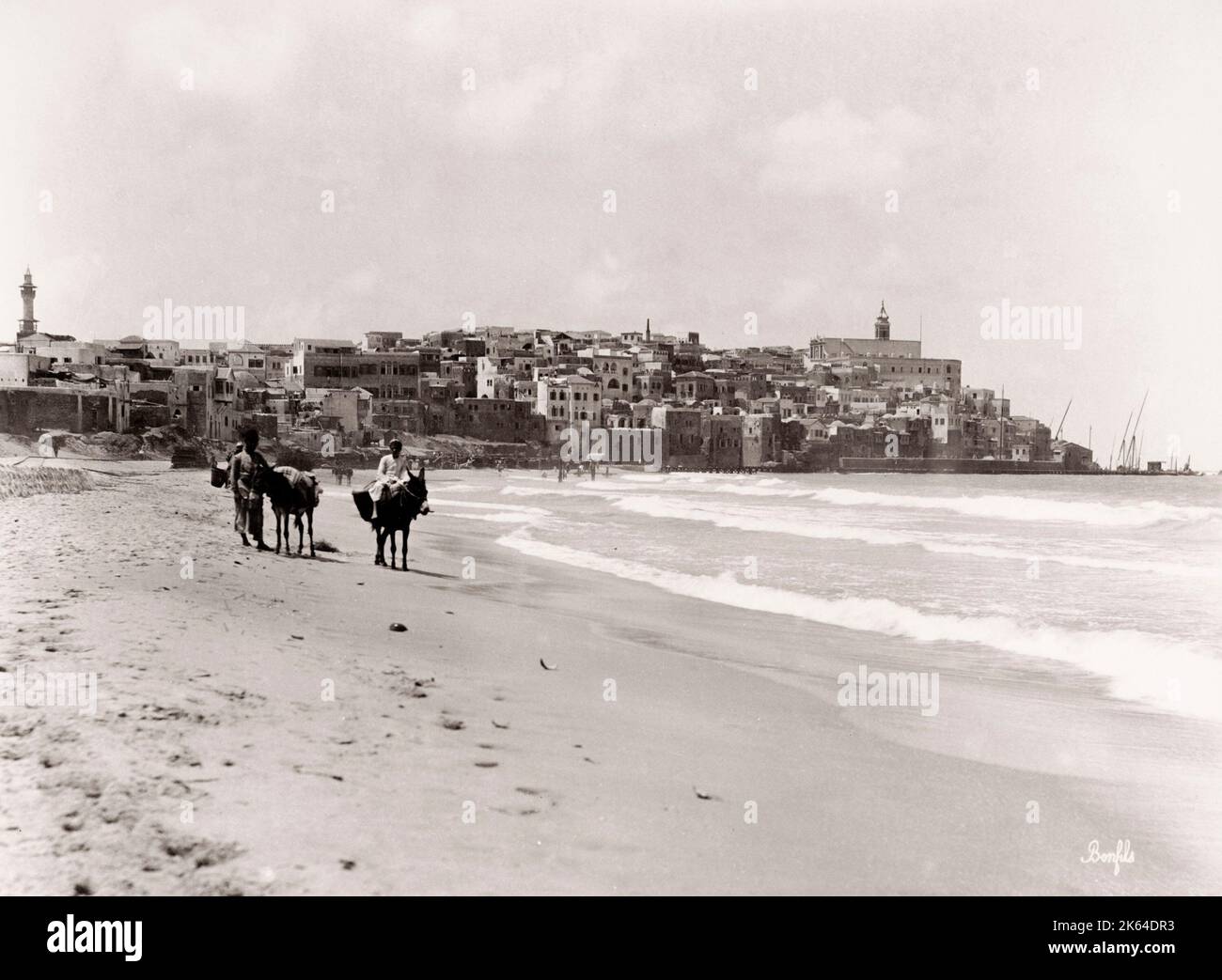 Vintage 19th century photograph: view of Jaffa, Holy Land, Palestine ...
