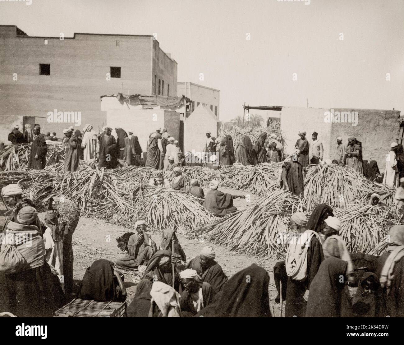 Vintage 19th century photograph: steet market, Egypt, sellng sugar cane ...