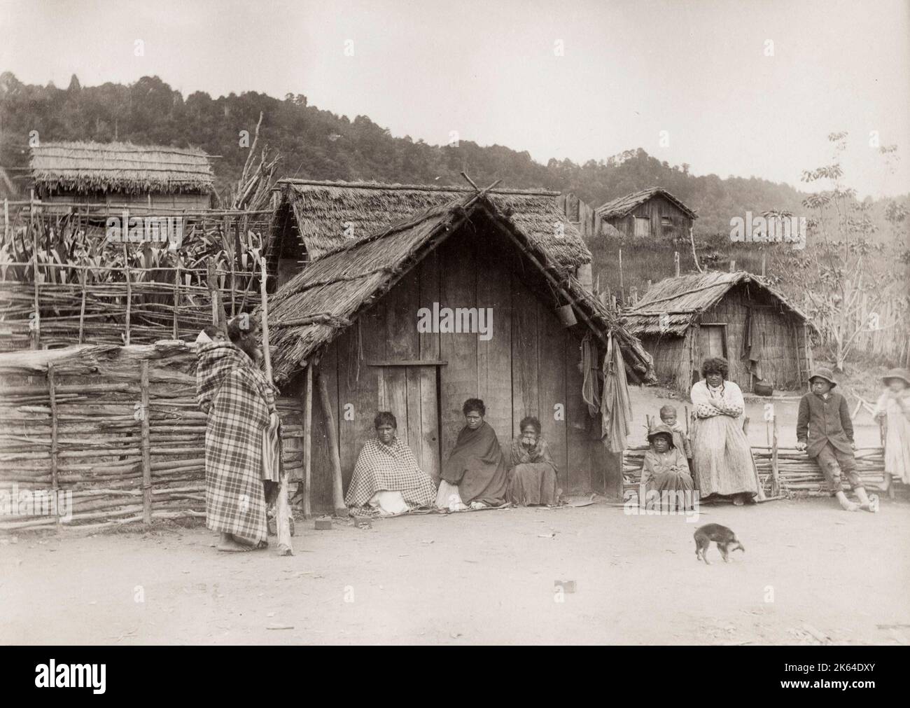Vintage 19th century photograph: New Zealand - Maori family group ...