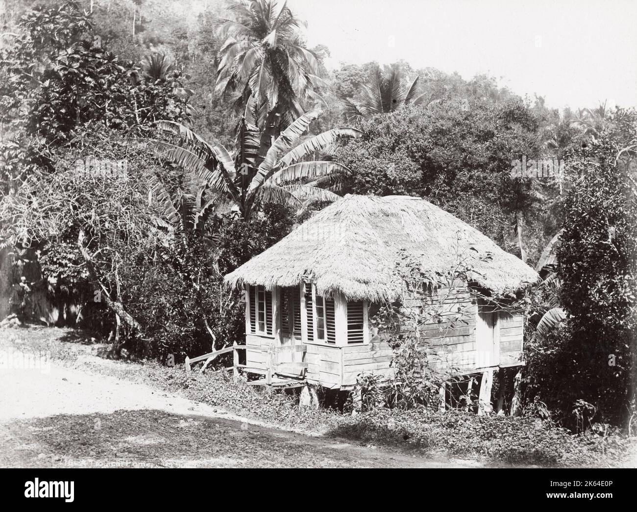 Late 19th century photograph: Small thatched house on the Rio Cobre ...