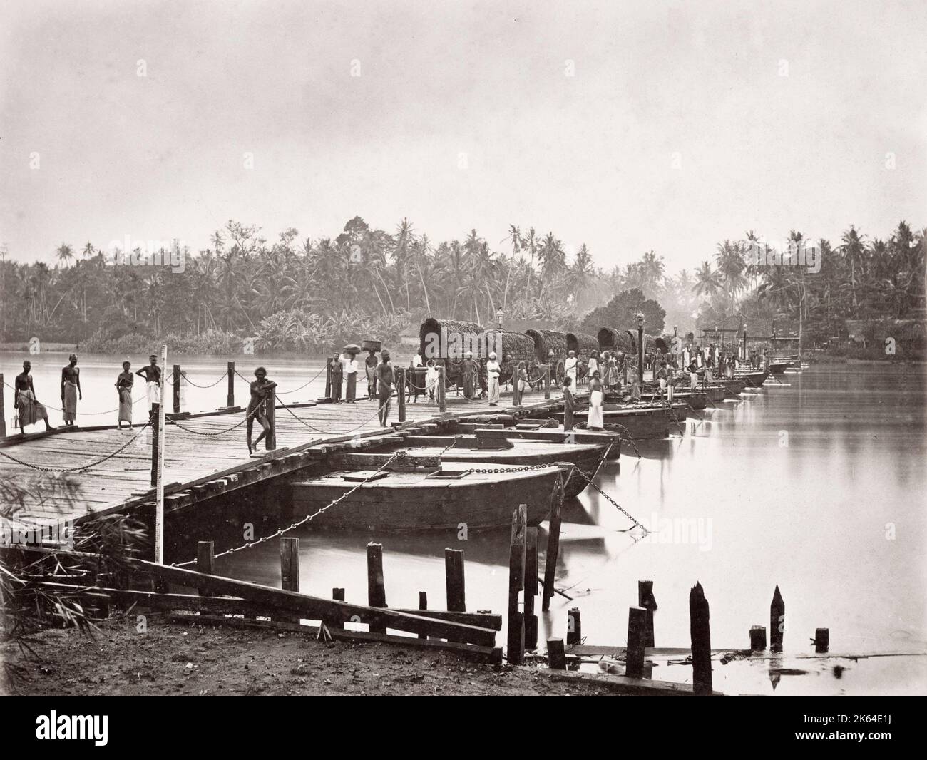 Vintage 19th century photograph: bullock carts and pedestrians on a ...
