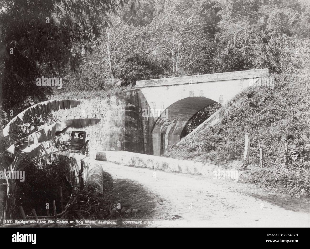 Late 19th century photograph: Bridge over River Cobre, Bog Walk ...