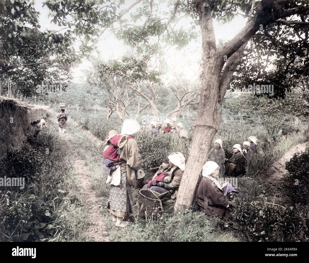 1880s farm hi-res stock photography and images - Alamy