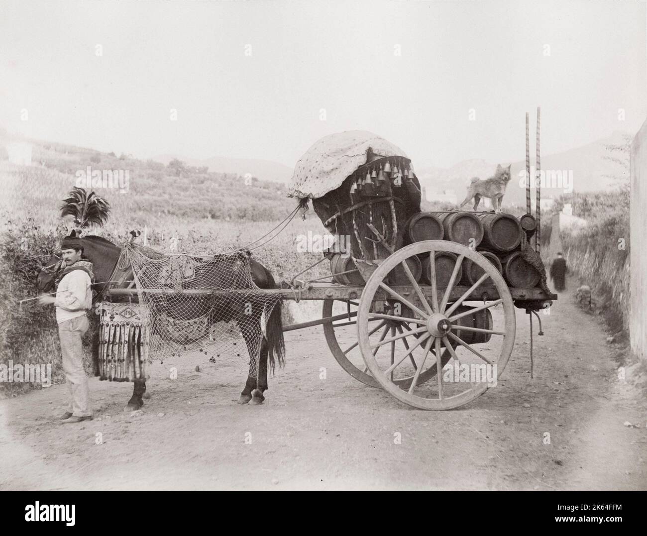 Vintage 19th century photograph: horse and cart with wine barrels ...