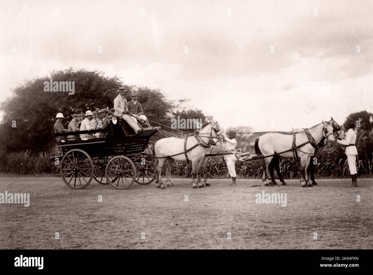 Four carriage horses hi-res stock photography and images - Alamy