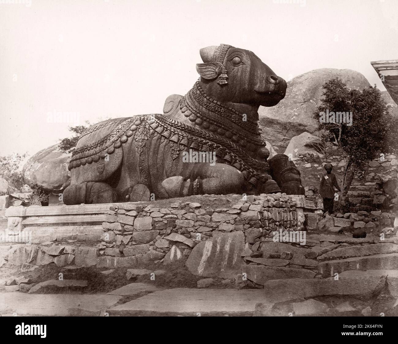 19th century vintage photograph India - Chamundi Hill stone bull ...