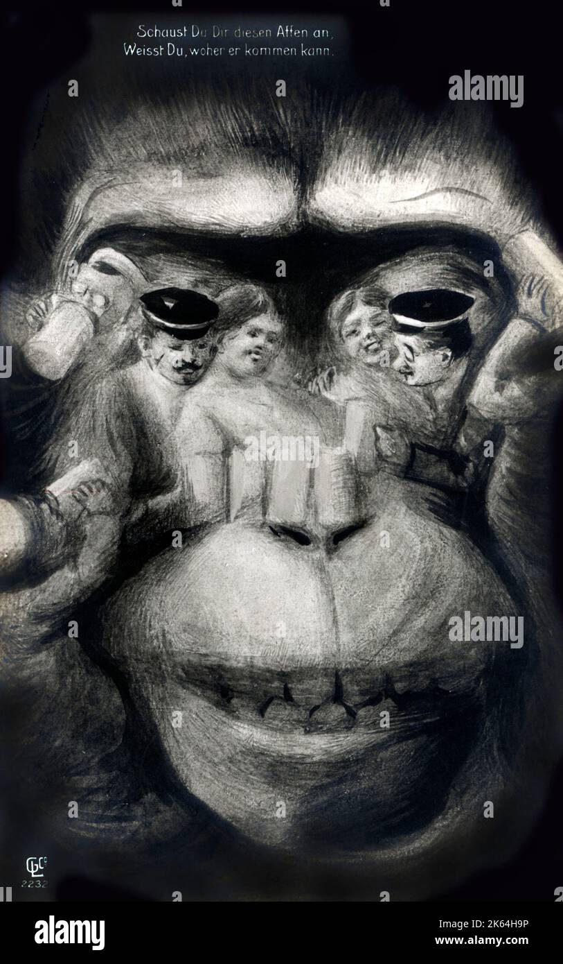 Monkey illusion hi-res stock photography and images - Alamy