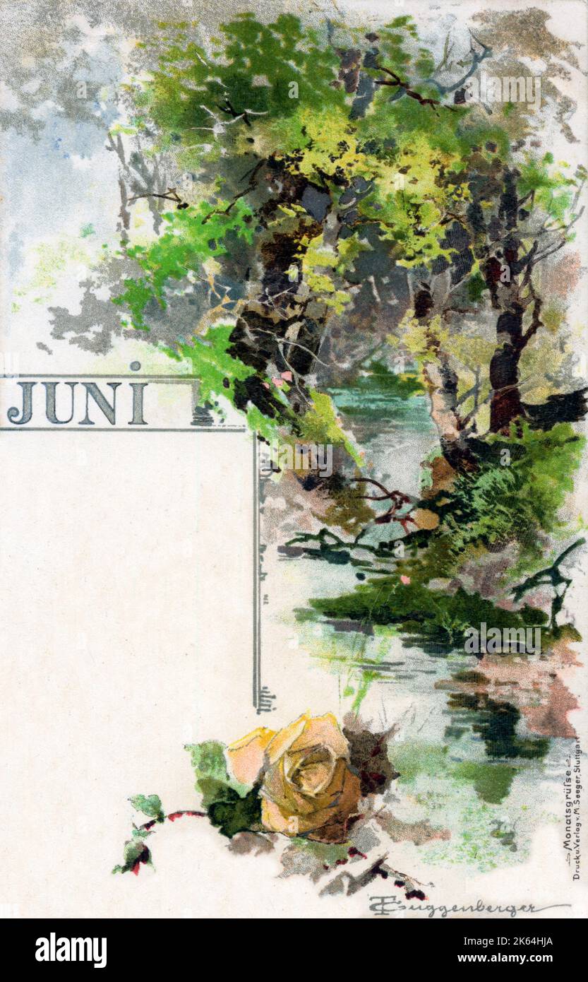 Foliage, plants and flowers which appear in June (Juni Stock Photo - Alamy