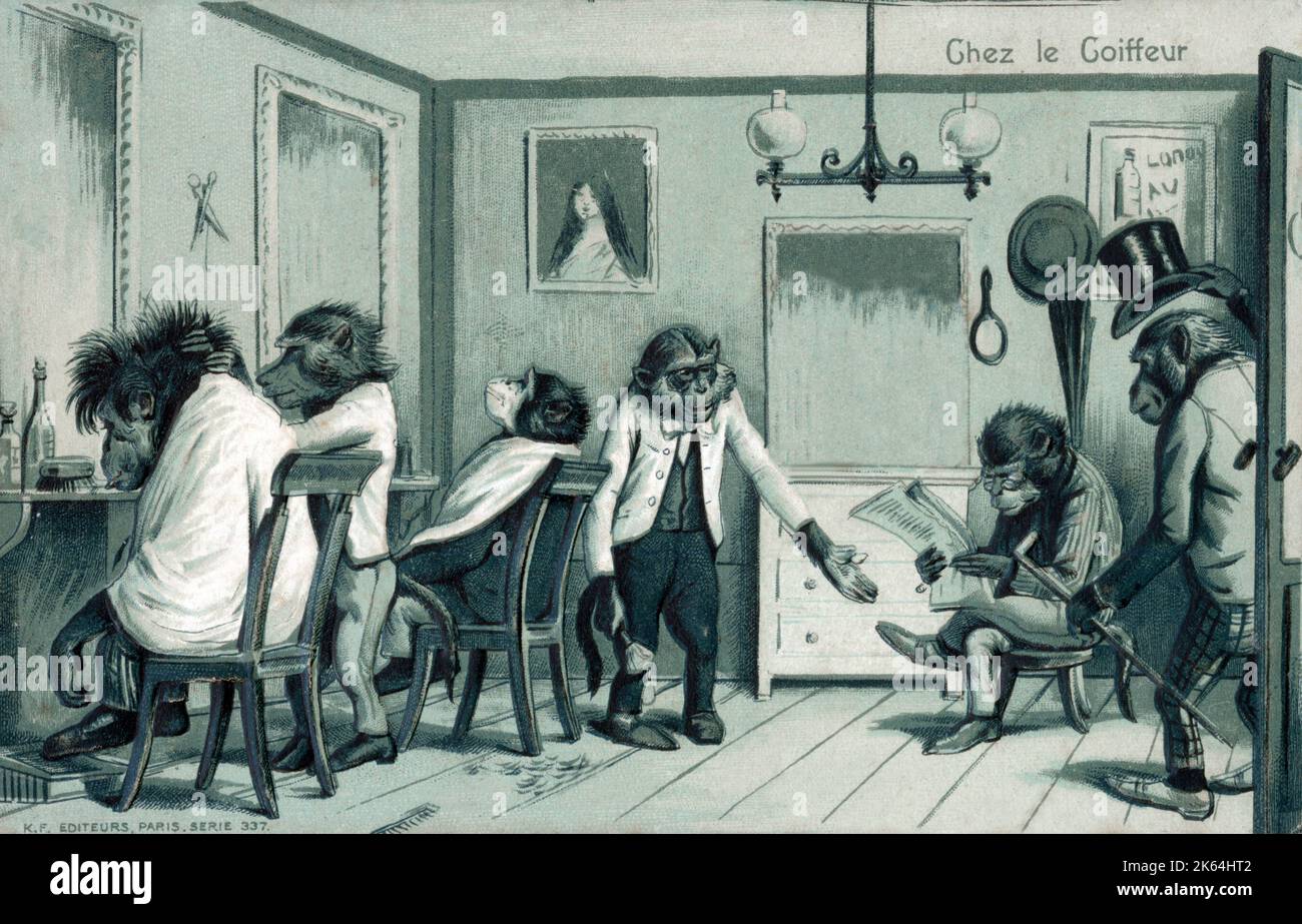 Monkey top hat hi-res stock photography and images - Alamy