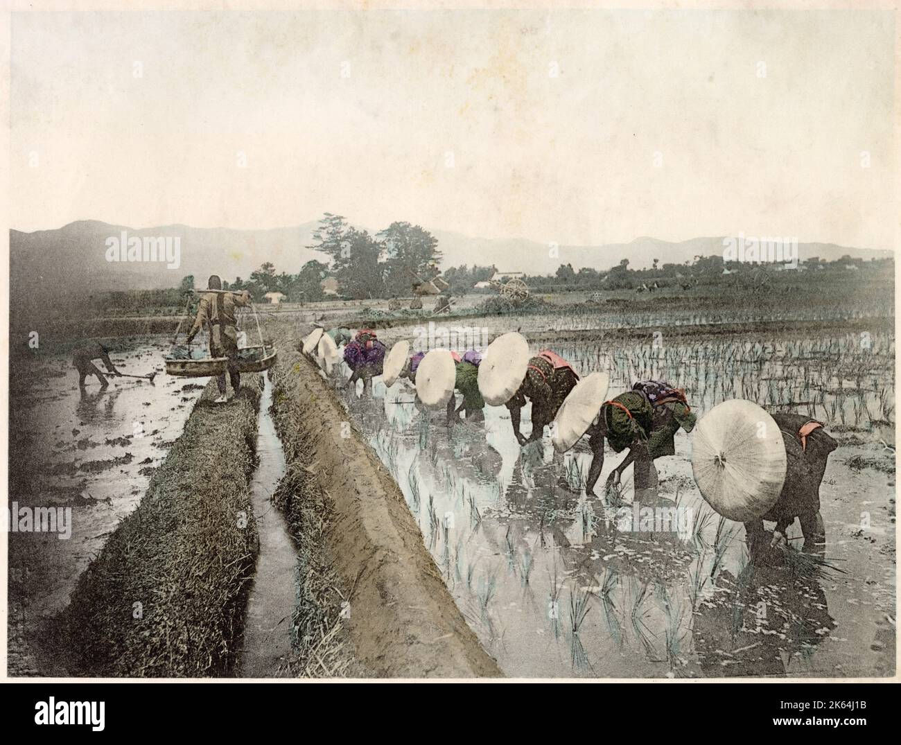 Japanese history rice hi-res stock photography and images - Alamy