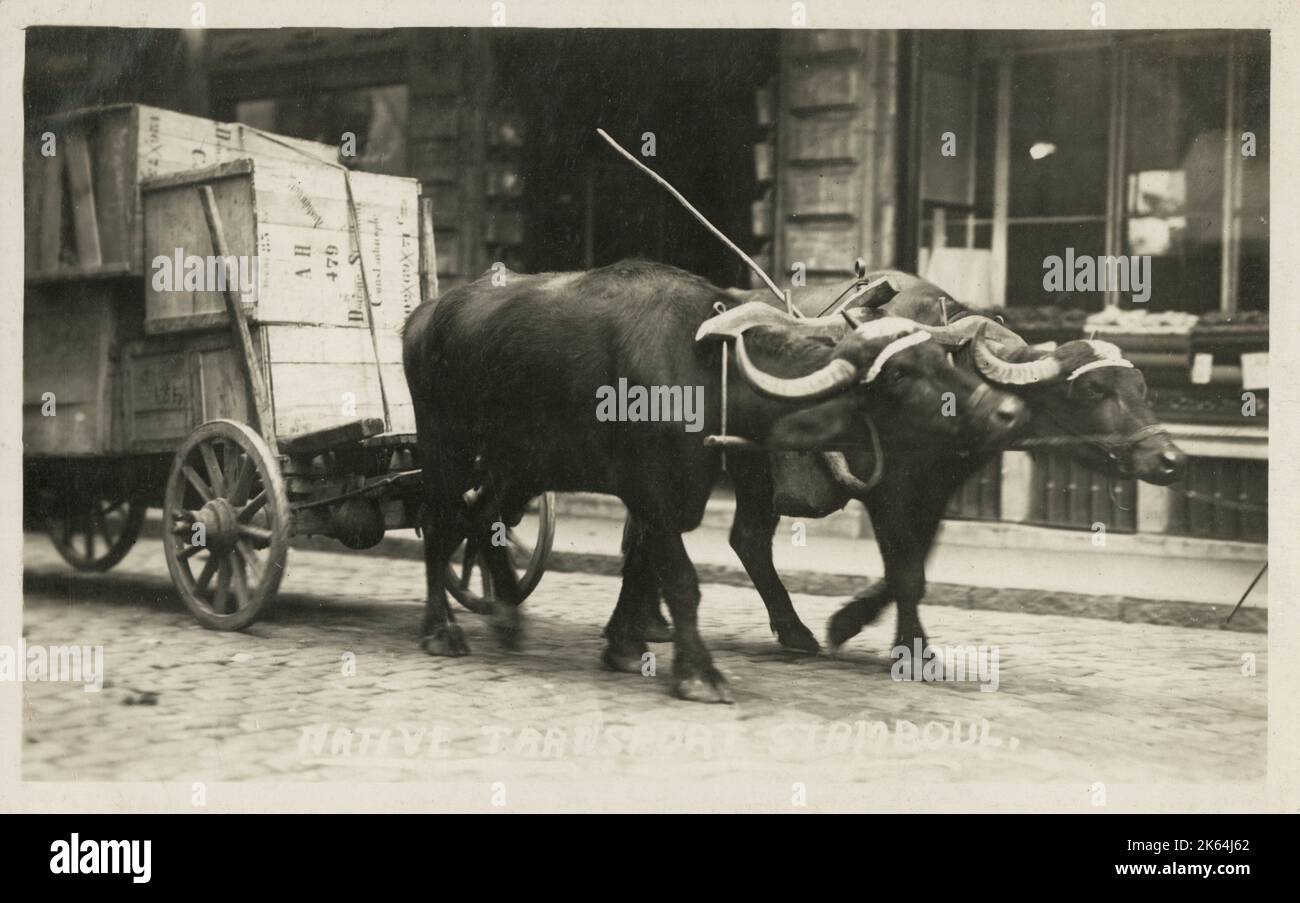 Animal Powered Transport 117 best Animal-powered transport /vehicle ...