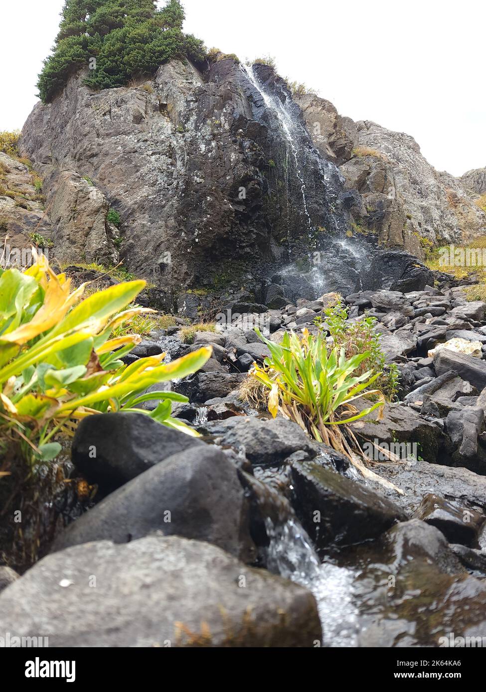 Plants on a river hi-res stock photography and images - Alamy
