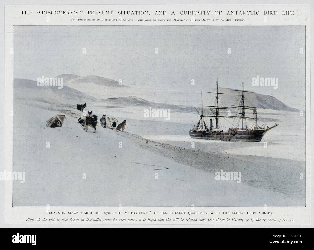 The 'Discovery' frozen in during the Scott, Shackleton and Wilson ...