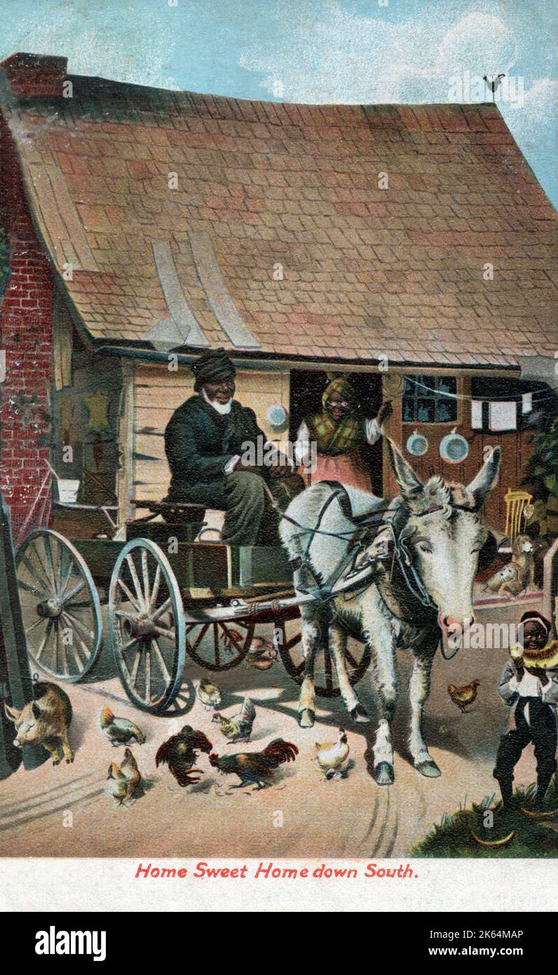 Donkey with chickens hi-res stock photography and images - Alamy