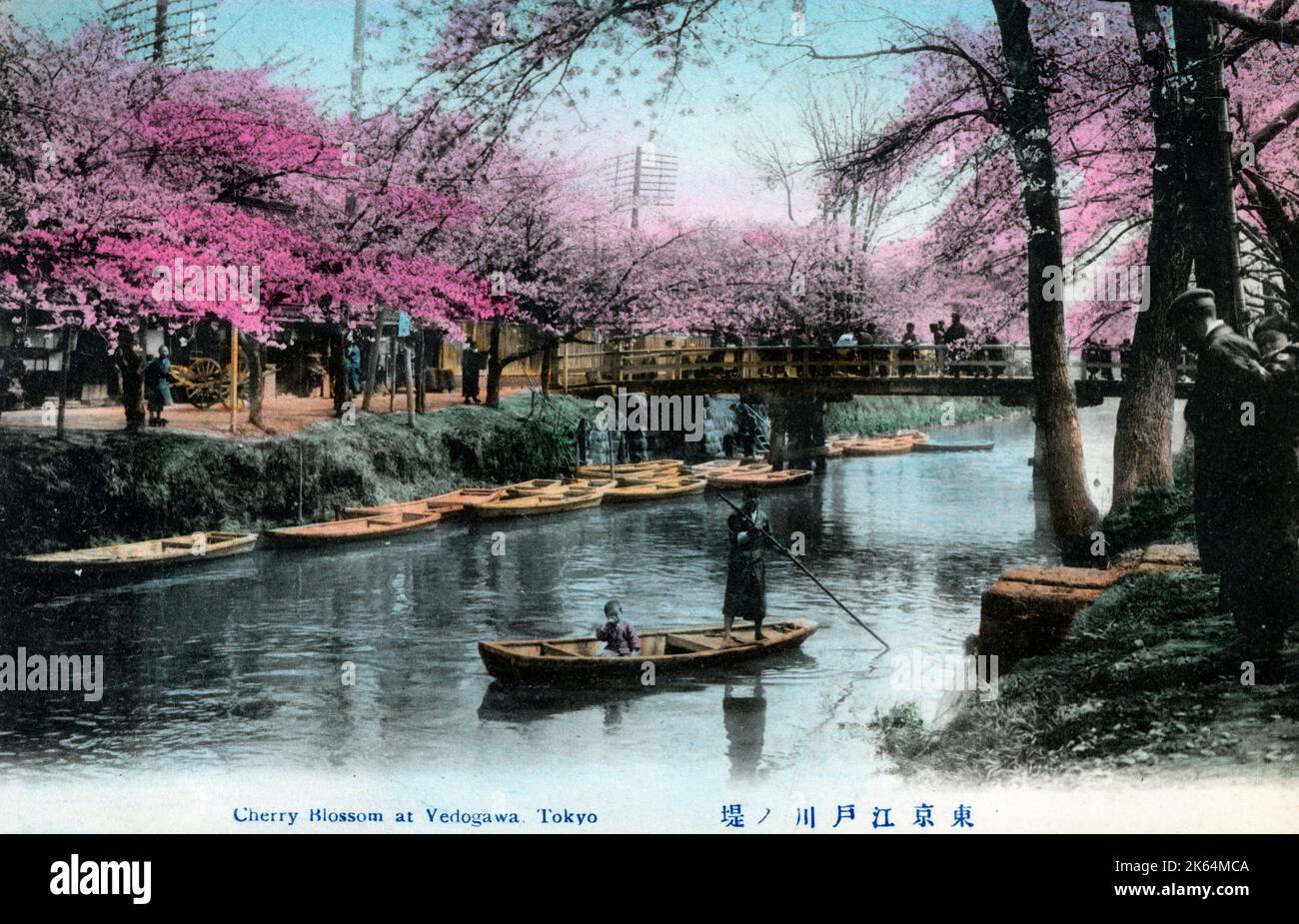 Japan - Cherry Blossom along the riverbank at Edogawa, Tokyo Stock ...