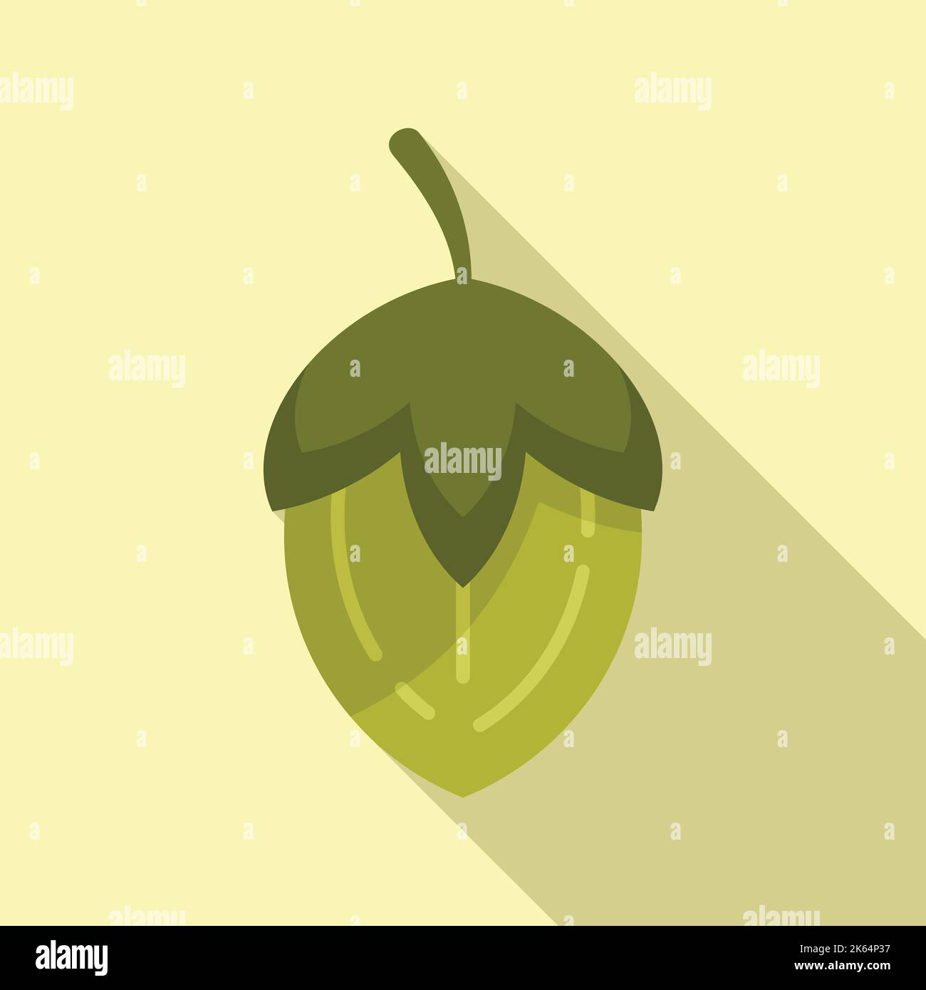 Jojoba plant Stock Vector Images - Alamy