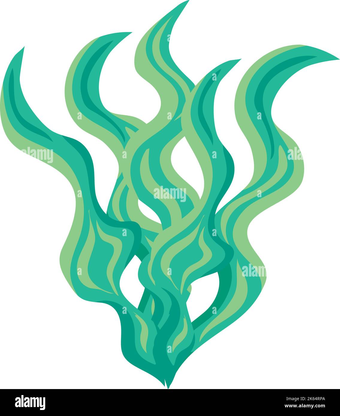 green algae sealife Stock Vector Image & Art - Alamy