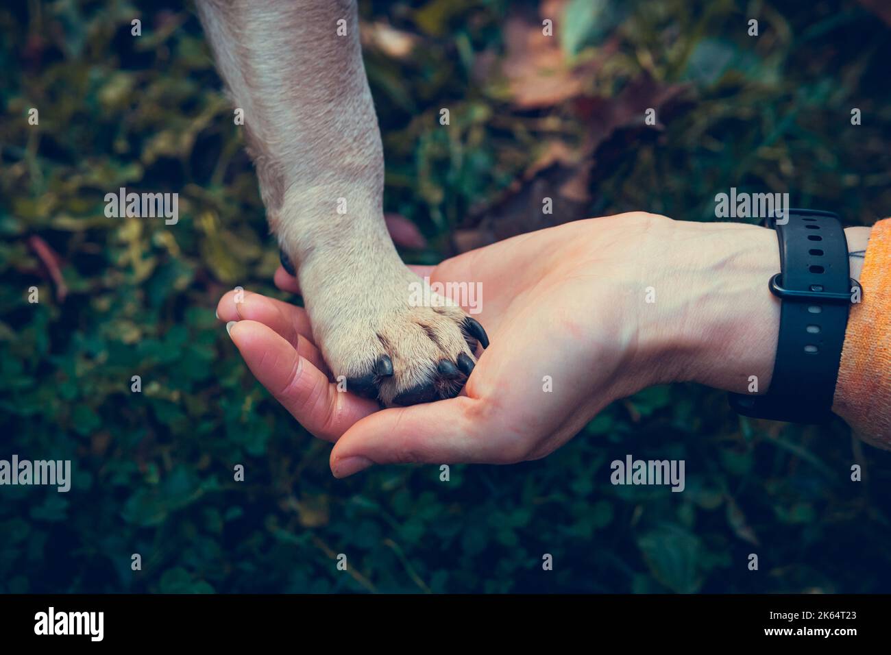 French female team hi-res stock photography and images - Alamy
