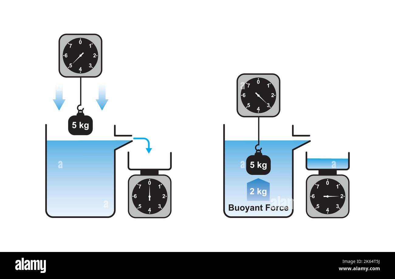 Scientific Designing of Archimedes Principle. The Buoyant Force ...