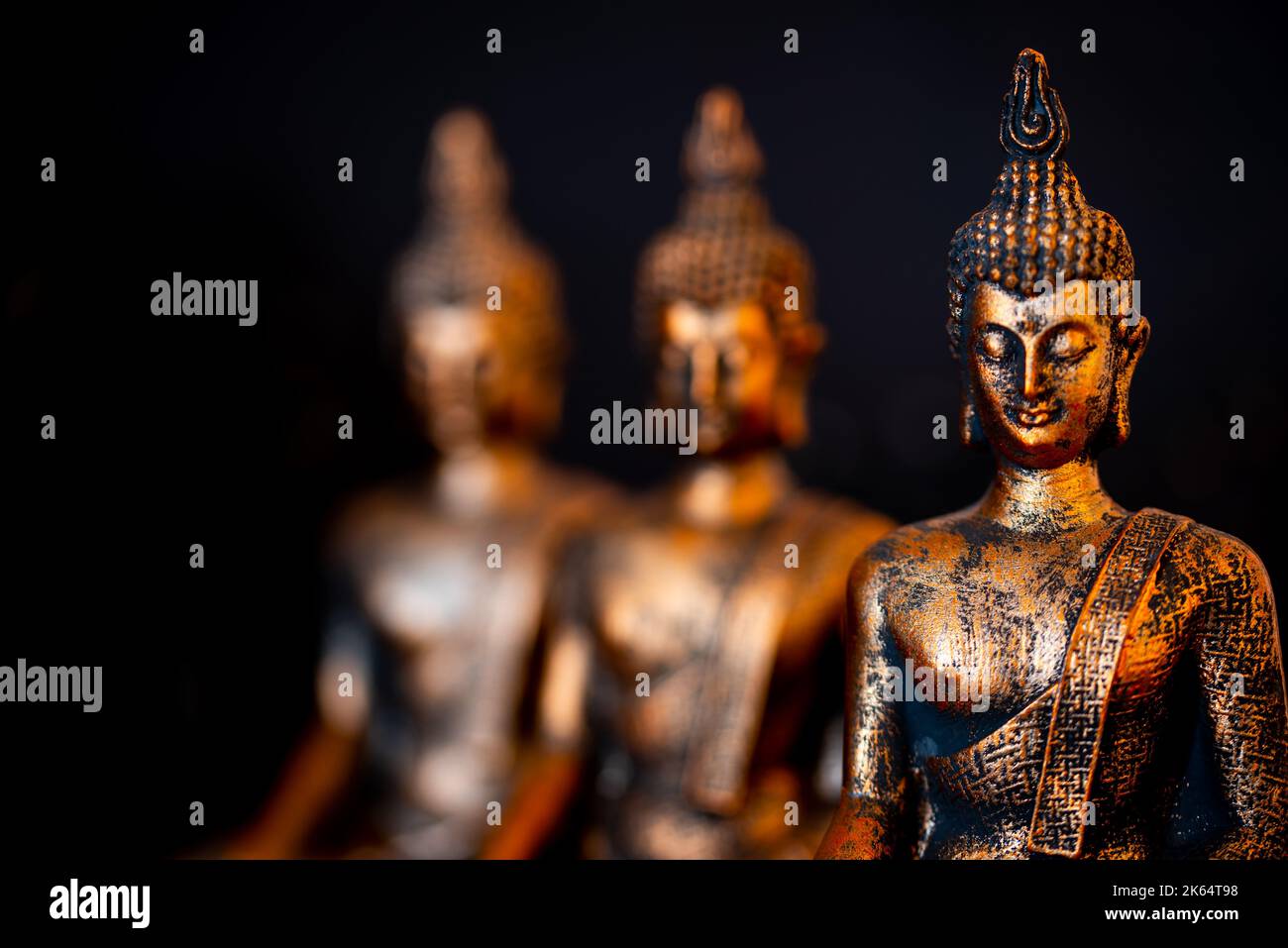 Netherlands. October 2022.buddha statue in calm rest pose. Shakyamuni ...
