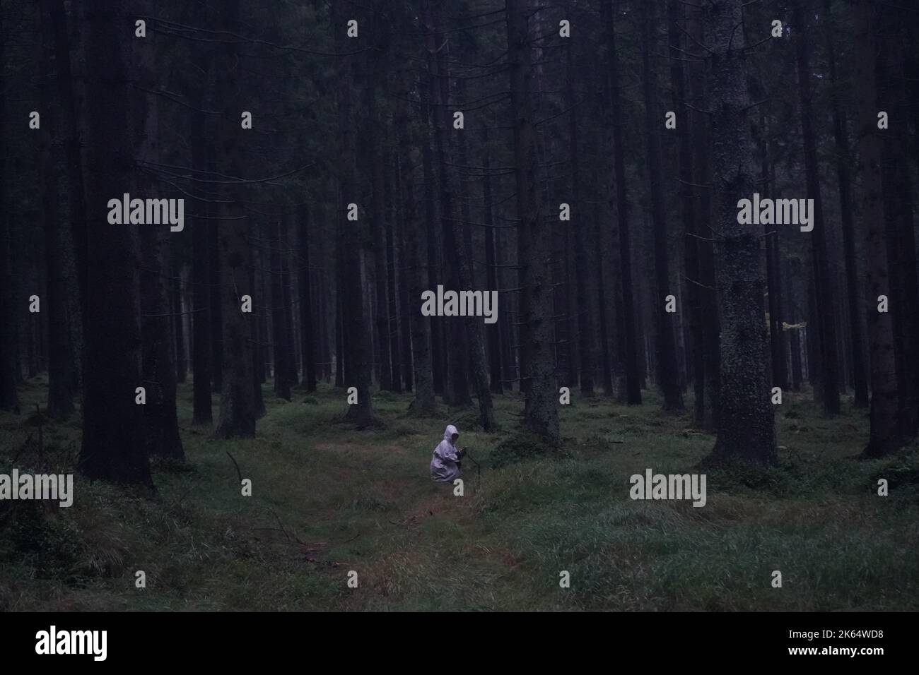 Little White RIding Hood Stock Photo - Alamy