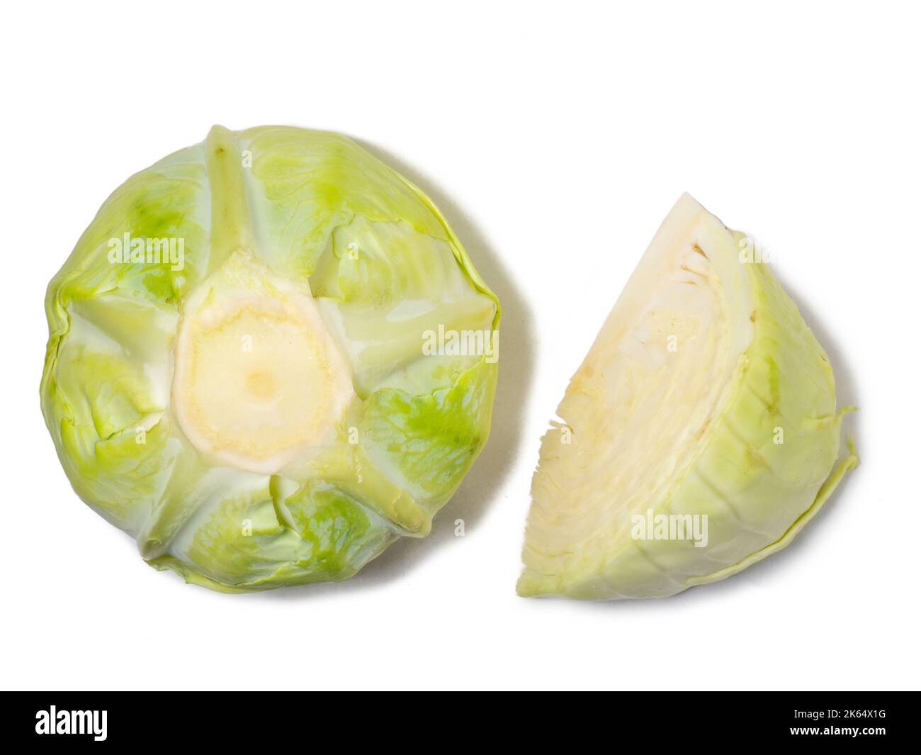 Pieces of white cabbage on a white background. From the garden ...