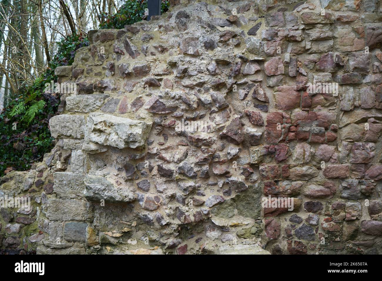 An old textured stone wall in an evergreen forest Stock Photo - Alamy