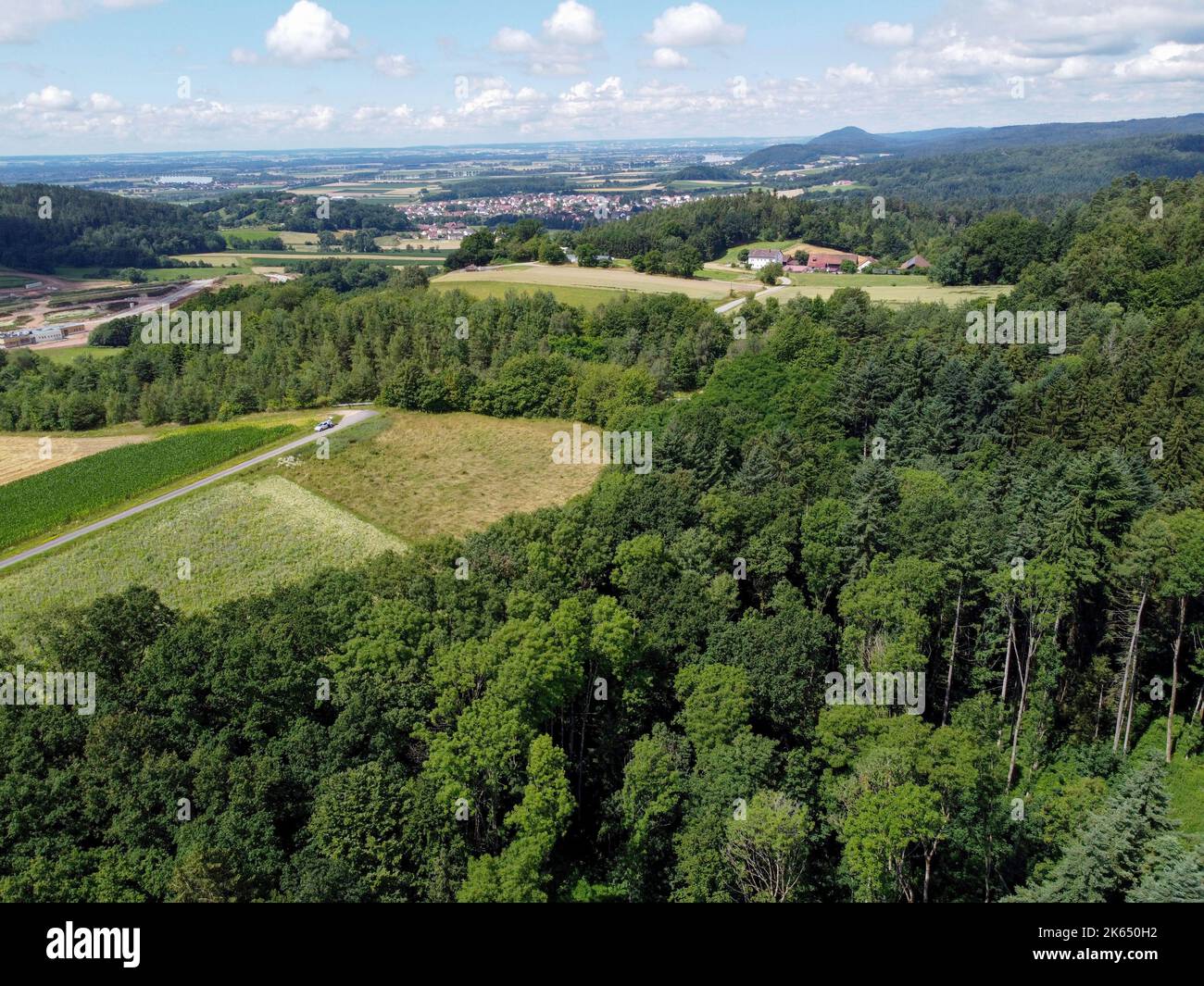 A beautiful view of an evergreen agricultural field with lush trees ...