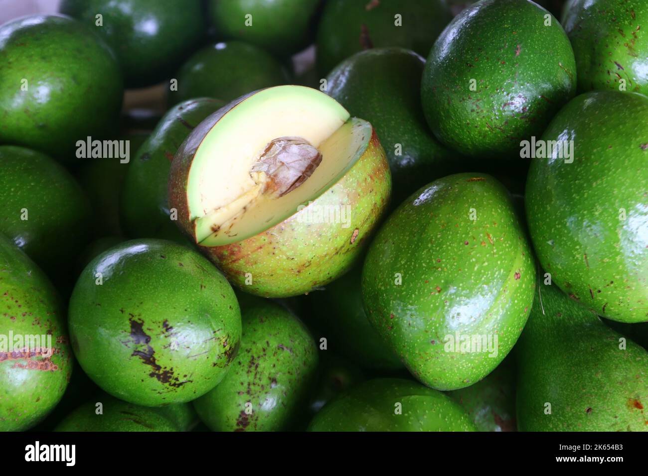 avocado palta guacamole fruit in organic farm Stock Photo - Alamy