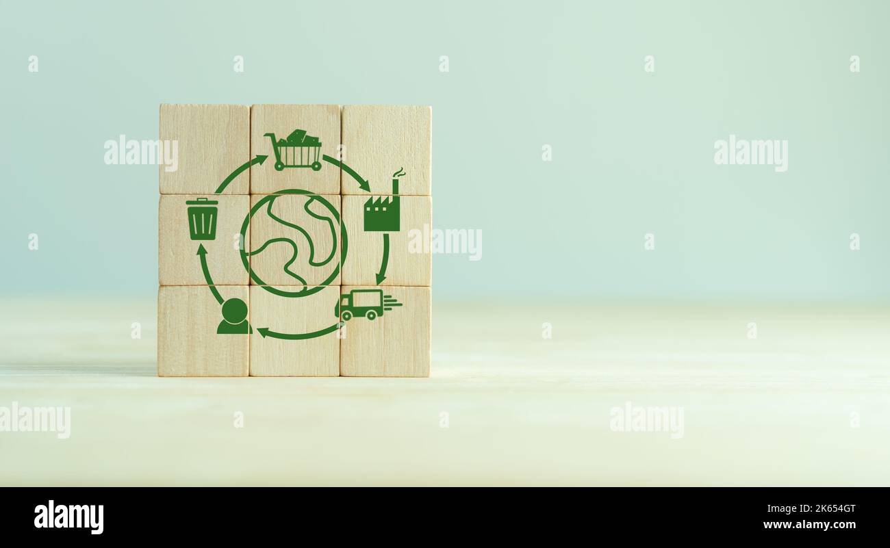 Growing sustainability. LCA-Life cycle assessment concept. Assessing ...