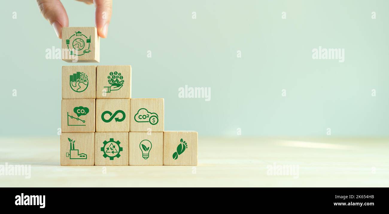 Growing sustainability. LCA-Life cycle assessment concept. Assessing ...