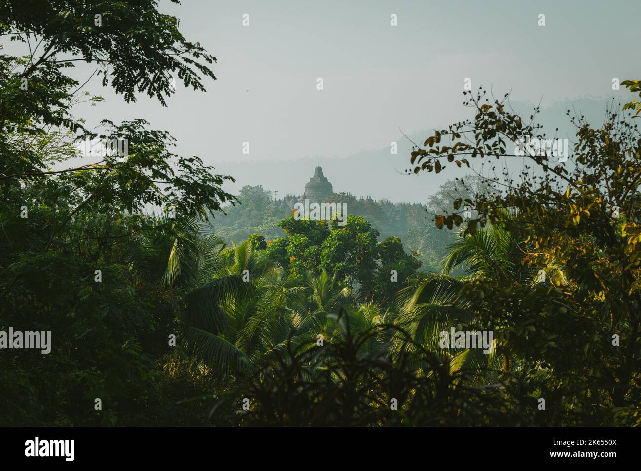Borobudur Temple from far los in the jungle: Largest Buddhist Monument ...