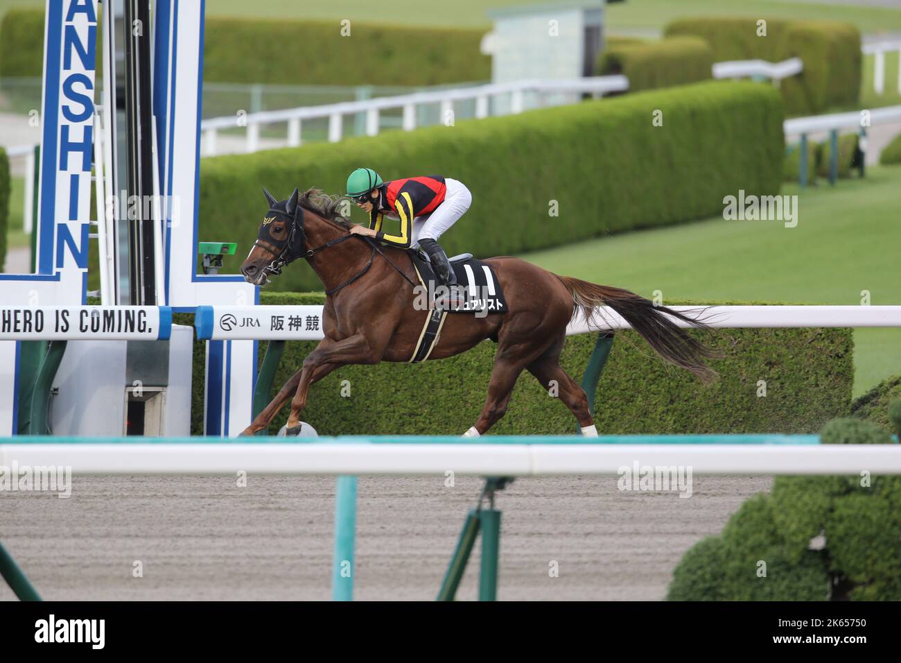 Hyogo, Japan. 8th Oct, 2022. Dualist and Ryusei Sakai won the Osaka ...