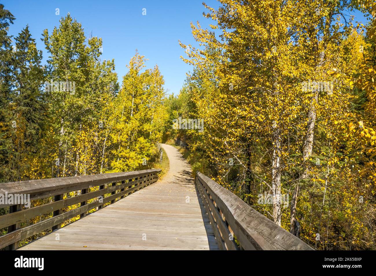 Edmonto city park wooden footbridge over Wolf Willow Ravine in fall ...