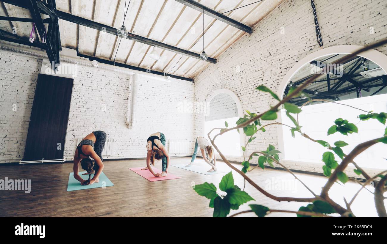 Side view of female yoga students doing stretching exercises and ...