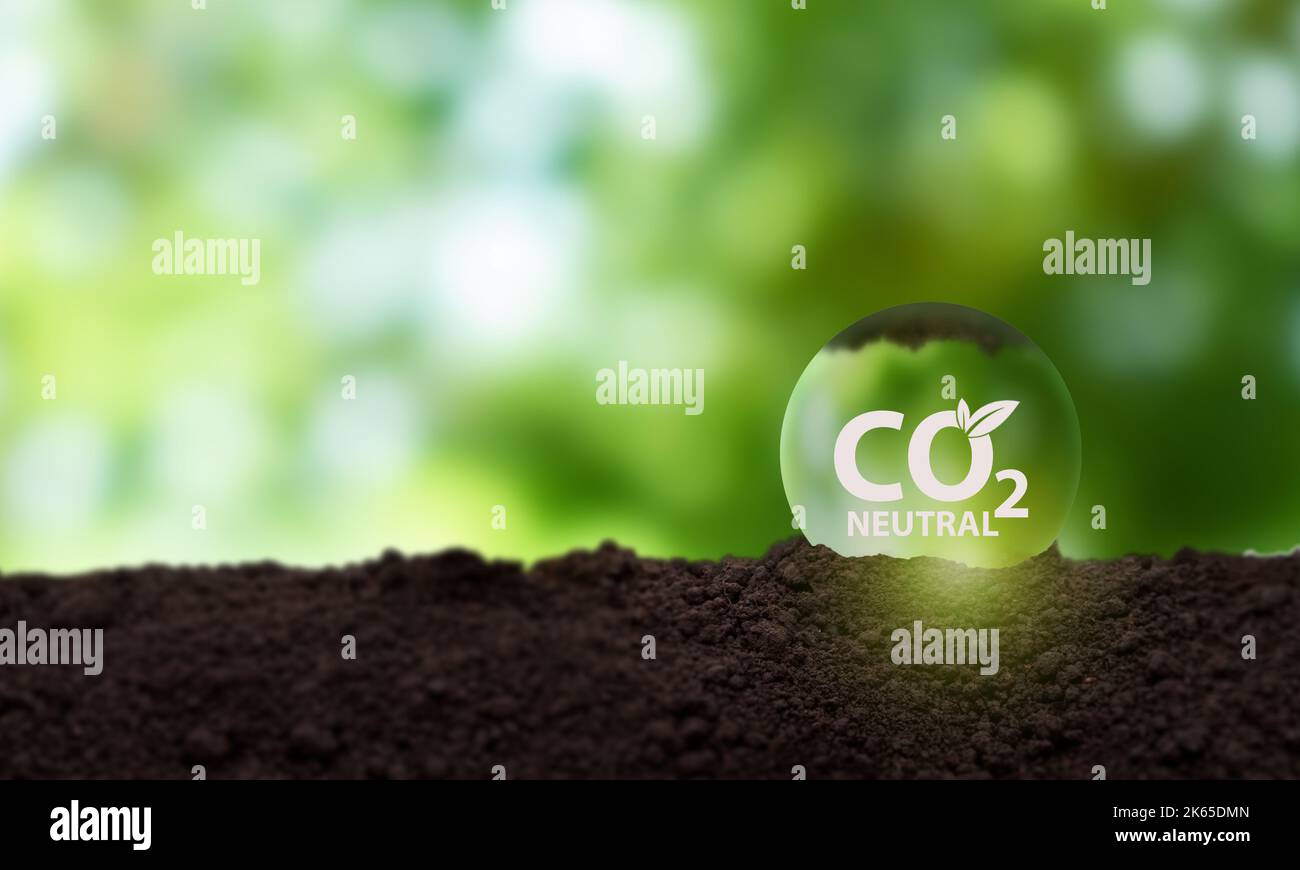 Carbon neutral sustainable development concept. Green industry. Net ...