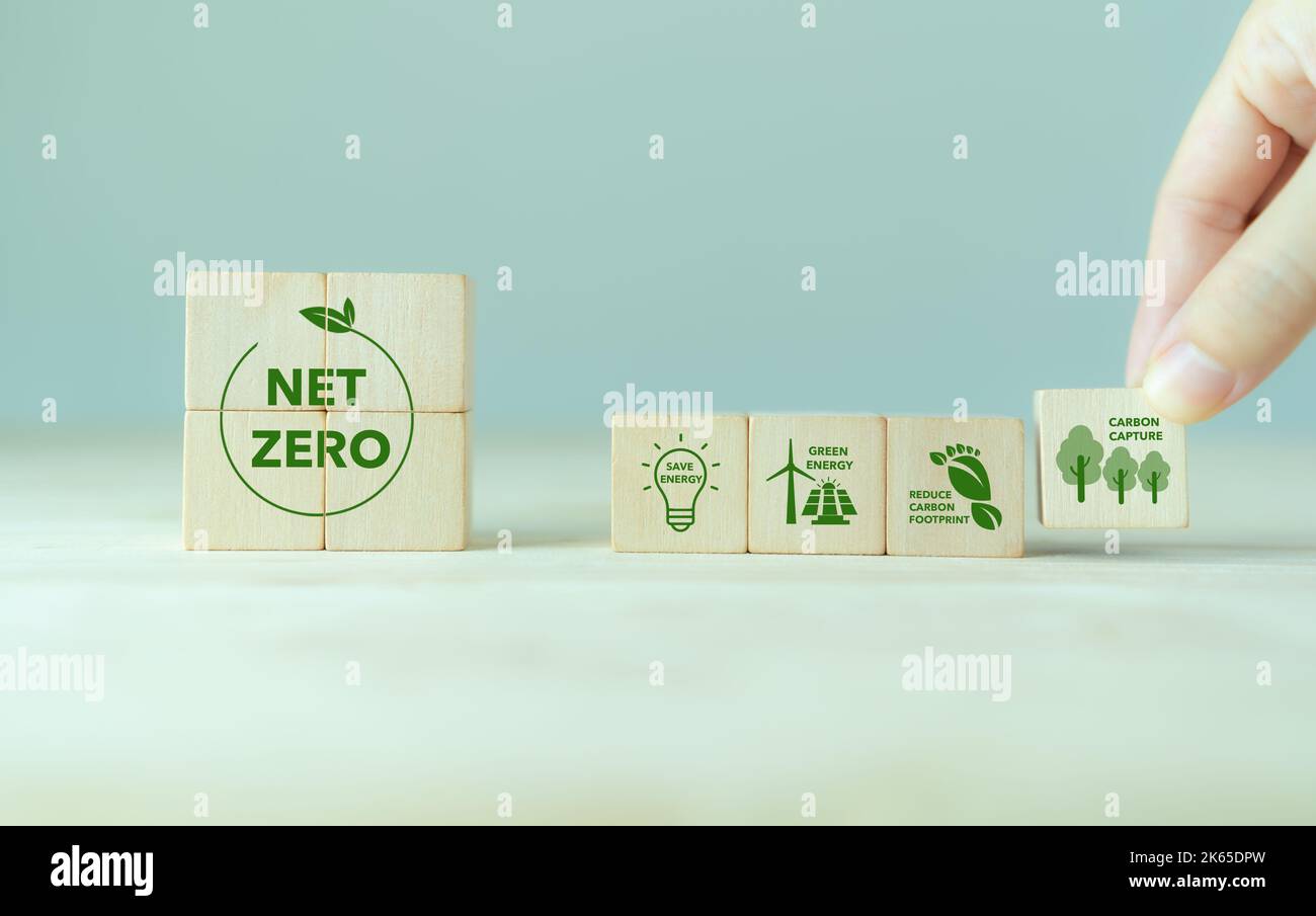 Net zero action concept. Save energy, green energy, reduce carbon ...