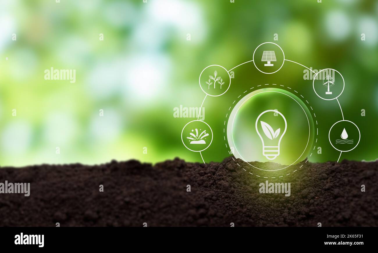 Renewable energy, sustainability, ecology concept. Carbon reduction ...