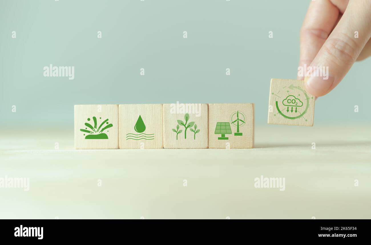 Renewable energy, sustainability, ecology concept. Carbon reduction ...