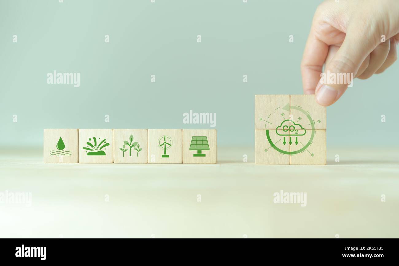 Renewable energy, sustainability, ecology concept. Carbon reduction ...