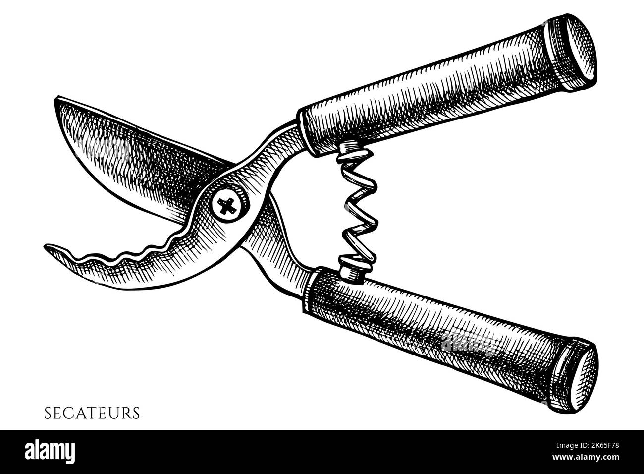 Gardening vintage vector illustrations collection. Black and white ...