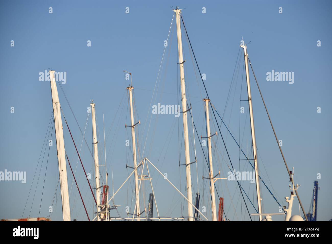 Under a clear blue sky in Valencia's harbor, ship masts rise tall ...